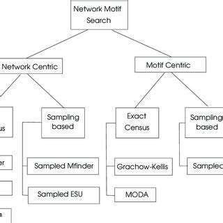 Network Motif Search Algorithms Adapted From Download Scientific Diagram