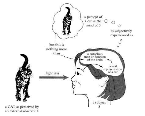 Reductionism In Psychology