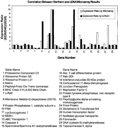Comparison Of Cdna Microarray Expression Ratios 8226dox40 Expression