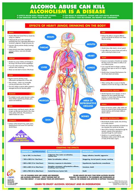 Alcoholism Effects Posters