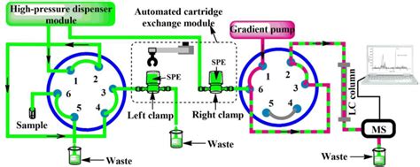 Scheme Of The Automated On Line Spe Combined With Lcmsms Download Scientific Diagram