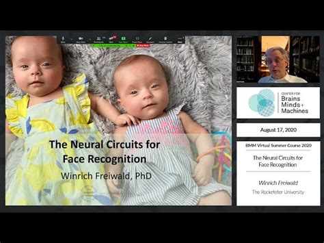 Free Video The Neural Circuits For Face Recognition From Mitcbmm Class Central