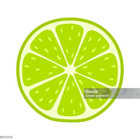 스쿼시와 모히토 여름 음료 성분 요소 그림에 대한 라임 과일 슬라이스 아이콘 벡터 낙서 드로잉에 대한 스톡 벡터 아트 및 기타 이미지 낙서 드로잉 라임 과일 Istock