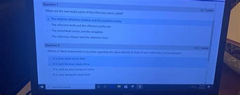 What Are The Two Major Parts Of The Olfactory Nerve