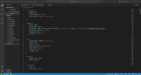 Sunil Gurjar On Linkedin Codsoft Html Css University Website
