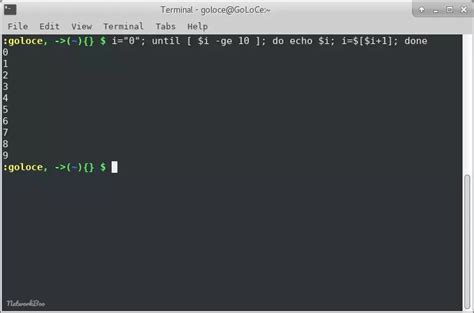 Đơn Giản Hóa Tác Vụ Trong Linux Với Bash Script Phần 2 Networkboo