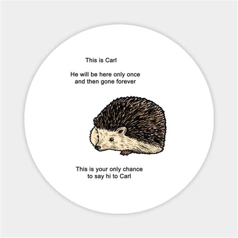Carl The Hedgehog Meme Carl The Hedgehog Meme Magnet Teepublic