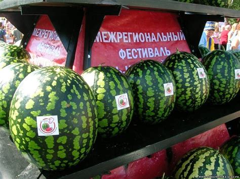 Соль - Илецк - полно арбузов! (Валерий Пономарев) / Проза.ру