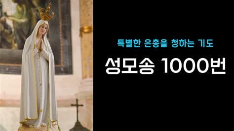 성모송 1000번넘버링ㅣ 간절한 염원ㅣ특별한 은총을 청하는 기도 ㅣ위로의 기도ㅣ치유의 기도 ㅣ마음의 평화를 얻는 기도ㅣ잠잘때 듣는 기도 성모송 셀리의치유의숲 9