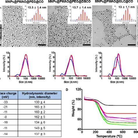 Physicochemical Characterization Of The Clickable Mnps A Morphology