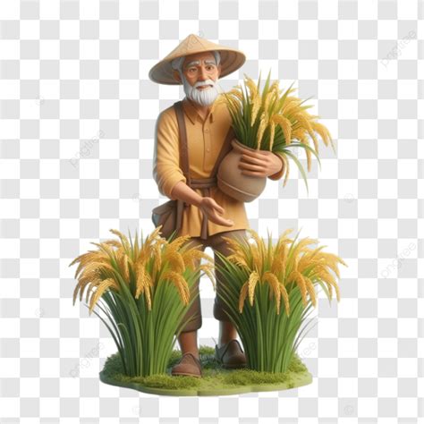 성공적인 수확 콘텐츠 표현을 축하하는 잘 익은 벼를 들고 있는 농부의 일러스트 농장주 농부 그림 벼 Png 일러스트 및 이미지 에 대한 무료 다운로드 Pngtree