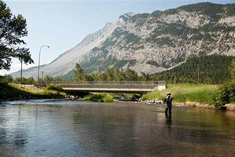 Trout Town Crowsnest Pass Alberta