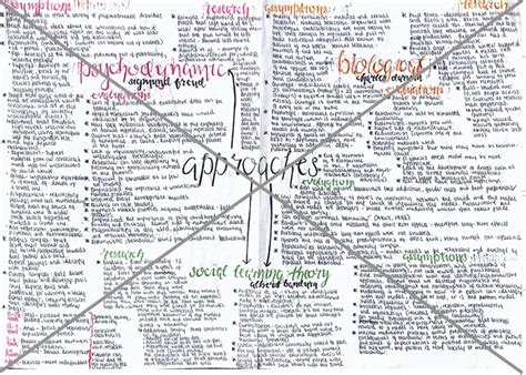 Aqa A Level Psychology Approaches Revision Diagrams Teaching Resources