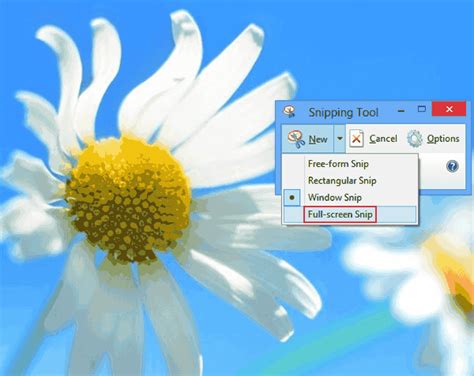 Steps To Use Snipping Tool In Windows 8 8 1