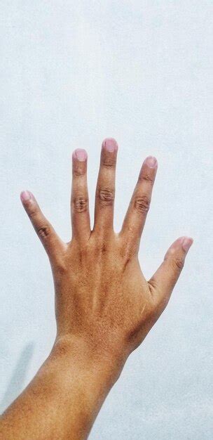 Premium Photo Stop Left Hand