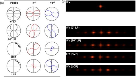 A Polar Plots Represent Polarization States Of The Probe And 1st Order