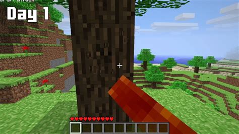 100 Days In Infdev In 30 Seconds R Goldenageminecraft