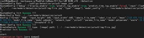 百度edgeboard部署yolov5，在n 的时候报错segmentation fault core