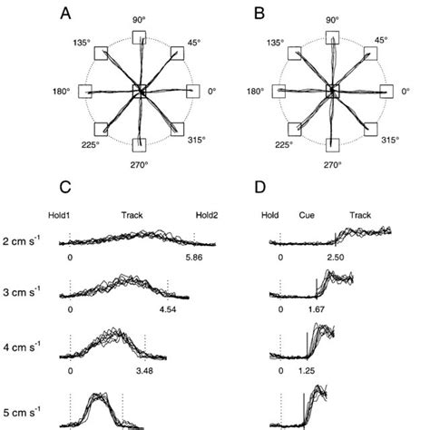 Hand Paths And Speed Profiles A B Average Hand Paths From Download Scientific Diagram