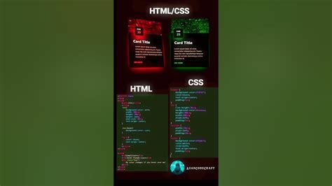 card animation effect on hover🎨 html coding viralshorts shorts trending javascript youtube