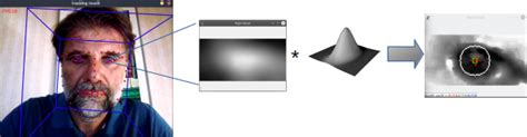 an illustration of the eye tracking algorithm adopted see text
