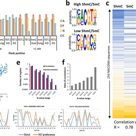 Structural Details Of Tet Enzyme Dna Complexes A Structure Of Tet2 With