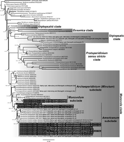 Maximum Likelihood Ml Phylogenetic Tree Based On 1634 Aligned