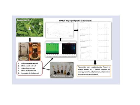 Phytochemical Evaluation And Chromatographic Fingerprint Analysis On Flavonoids Compounds In