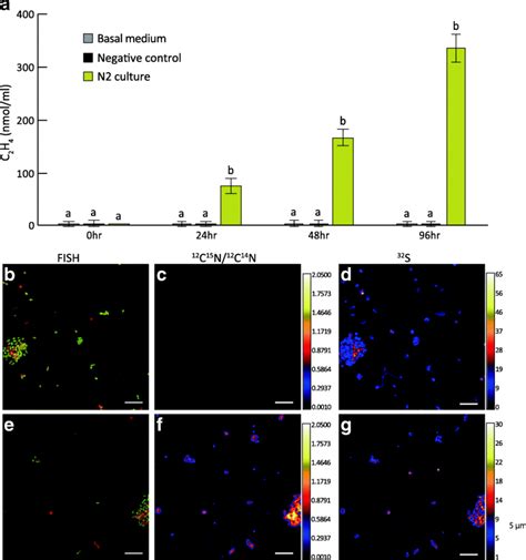 Nitrogen Fixation Activity Of The Endolithic Culture From The Green Download Scientific Diagram