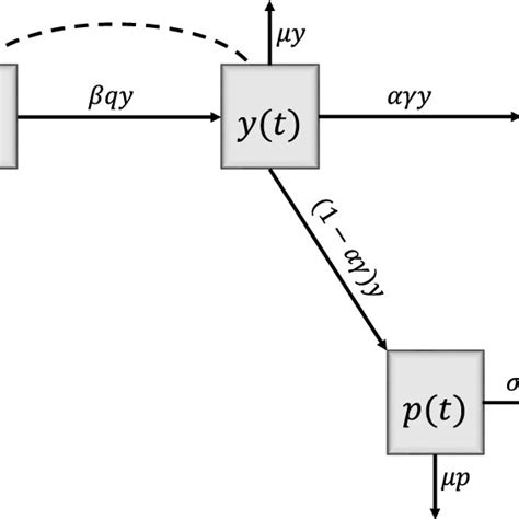 Diagrammatic Flowchart For The Diabetes Mellitus Model Download