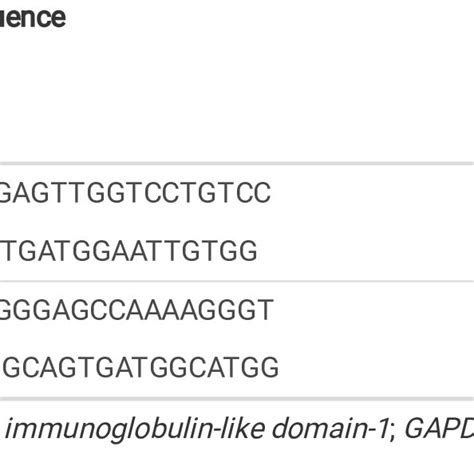 The Primers For Real Time Quantitative Reverse Transcription Pcr