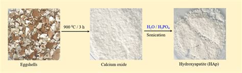 Schematic Representation For The Synthesis Of HAp From Eggshells Download Scientific Diagram