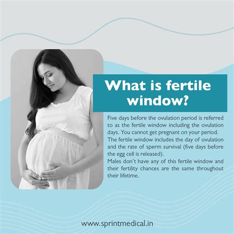 Ovulation And Pregnancy Blog