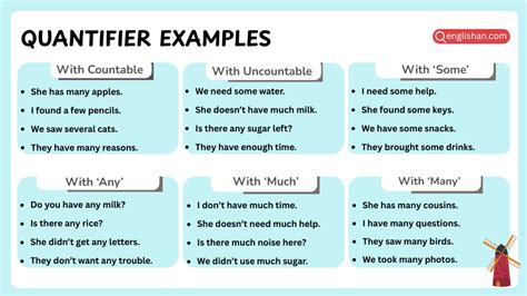 100 Useful Quantifier Examples In Sentences