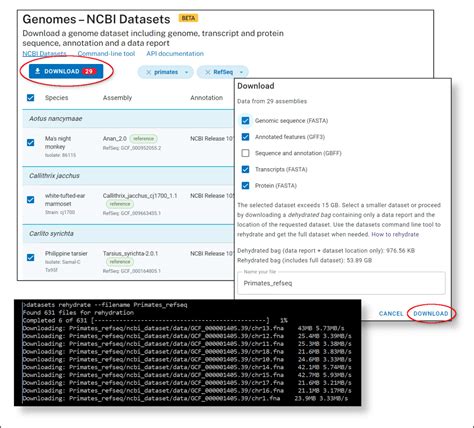 Easily Download Large Amounts Of Genomic Data With Ncbi Datasets Ncbi Insights