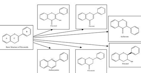 Flavonoids Basic Chemical Structures And Classification