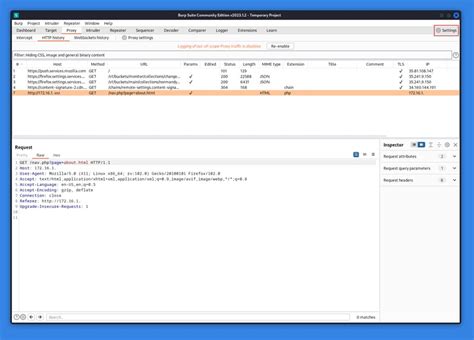 How To Use Burp Suite Through A Socks5 Proxy With Proxychains And Chisel Dev Community