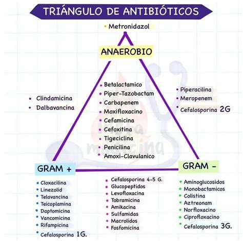 Atb Triángulo Diagrama Comprender La Resistencia A Los Antibióticos