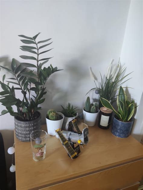 An Instructive Video Showing How To Have Sex R Worldpolitics