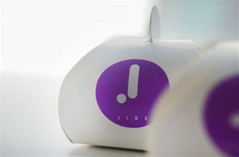 Developingthefuture Jibecompany Tania Cristina Munteanu