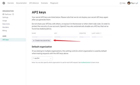 ChatGPT Plus相关功能介绍以及OpenAI接口调用指南_chatgpt3.5 通过open api调用-CSDN博客