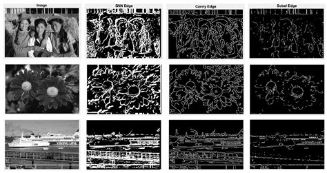 image edge detector with gabor type filters using a spiking neural network of biologically