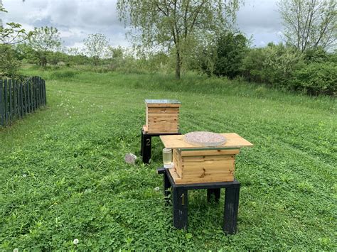Hive Two Is Set Up And The Bees Are On Their Way R Beekeeping