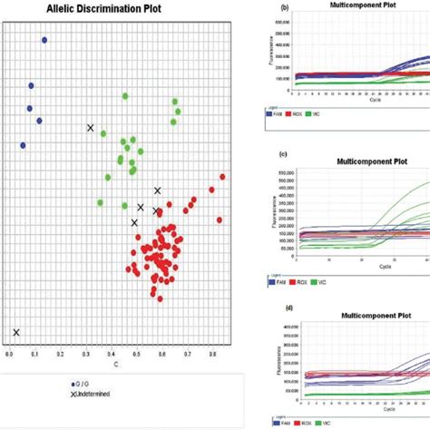 The Output File Of Allele Discrimination Software Plot And