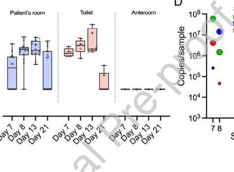 Environmental Contamination Of Mpox Virus Dna Virus Dna Concentration