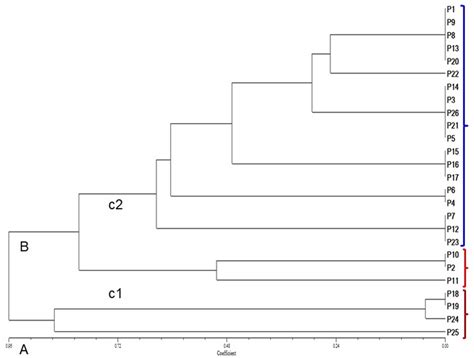 Dendrogram Generated Using Upgma Analysis Depicting Relationship Among