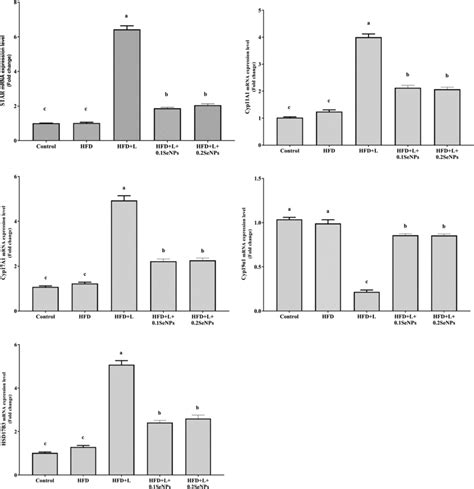 Effect Of Selenium Nanoparticles Senps On Ovarian Mrna Expression Of Download Scientific