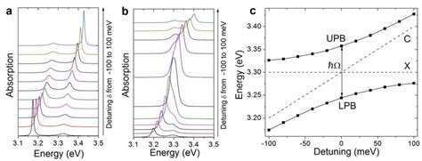 3 Strong Coupling Versus Weak Coupling Regime Simulated By The