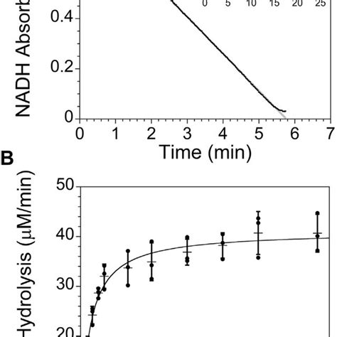 Yoaa χ Has Dna Dependent Atpase Activity A The Nadh Absorbance At 340