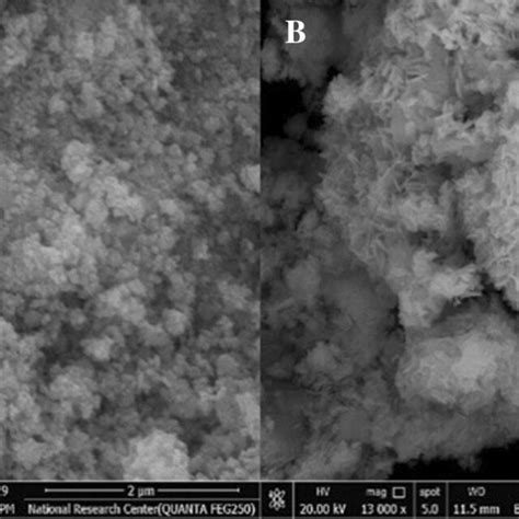 sem of zn cur o nps a and zno nps b download scientific diagram